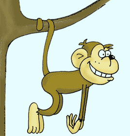 FOLLY GIFS: GIFS MACACOS