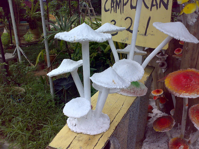 CENDAWAN HIASAN UNTUK DIJUAL