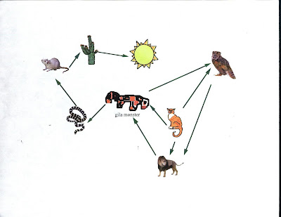 Gila Monster Science Project