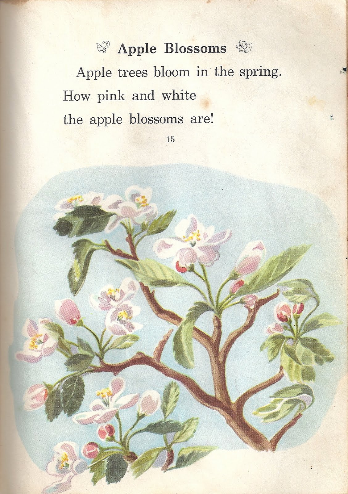 Quill Cottage: THE APPLE BLOSSOM LESSON...