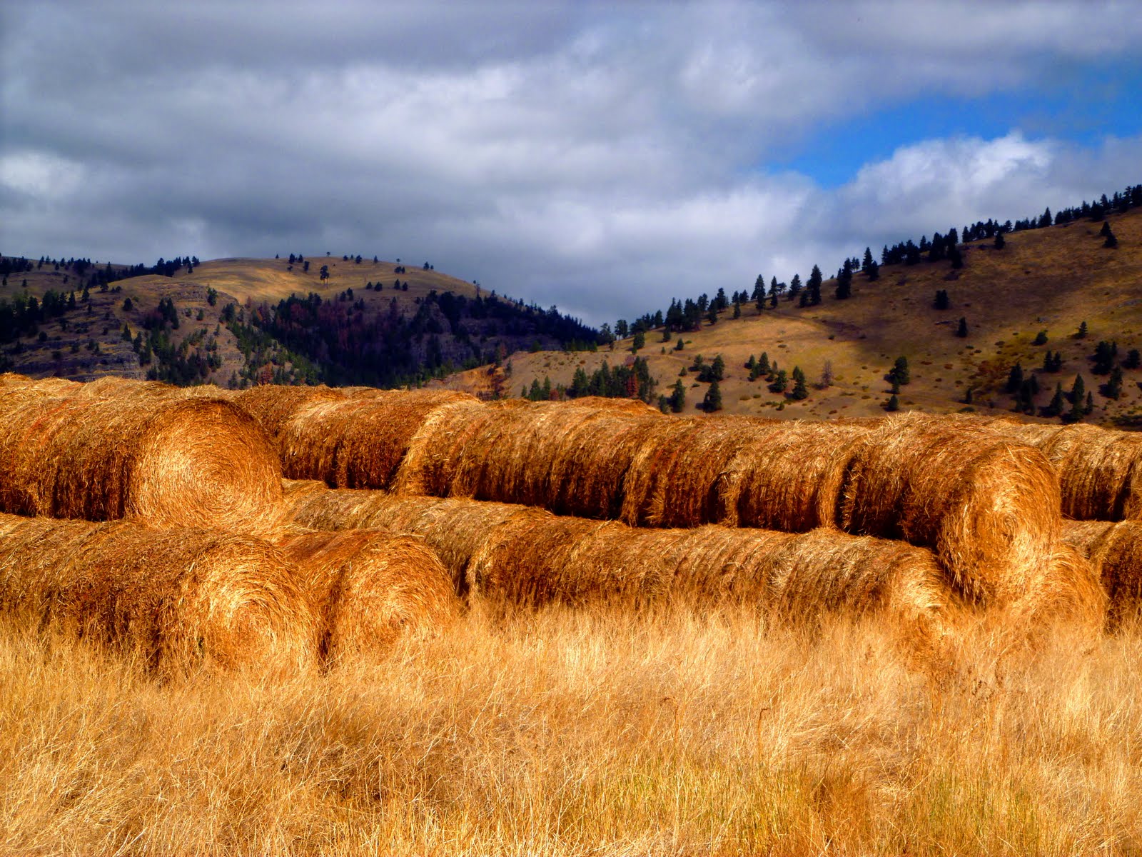 The Journey is a Wild One: Montana - Sauntering Through This Holy Land