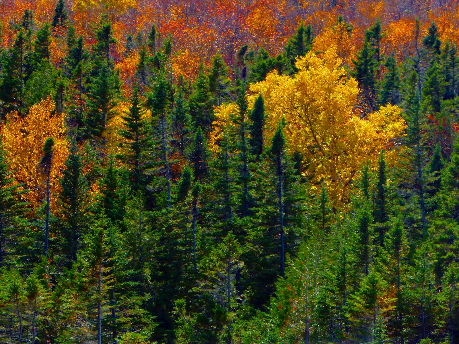 The Journey is a Wild One: I Enter the Wild - Baxter Day 5: On Showers ...