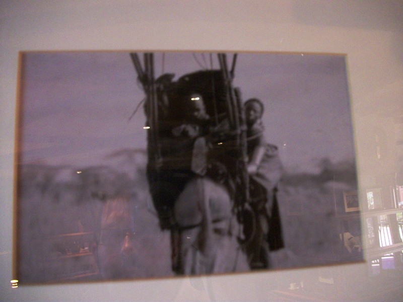 Main Street Gazette: Pioneering photographic safaris