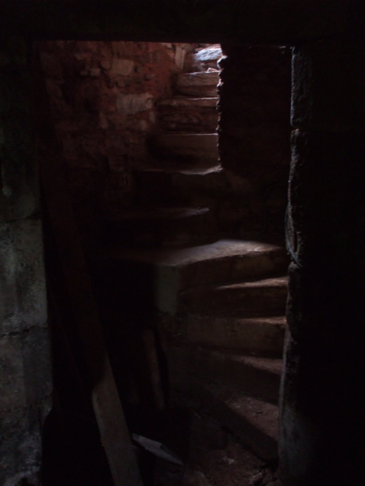 in search of the kiwi: dank dark cellar