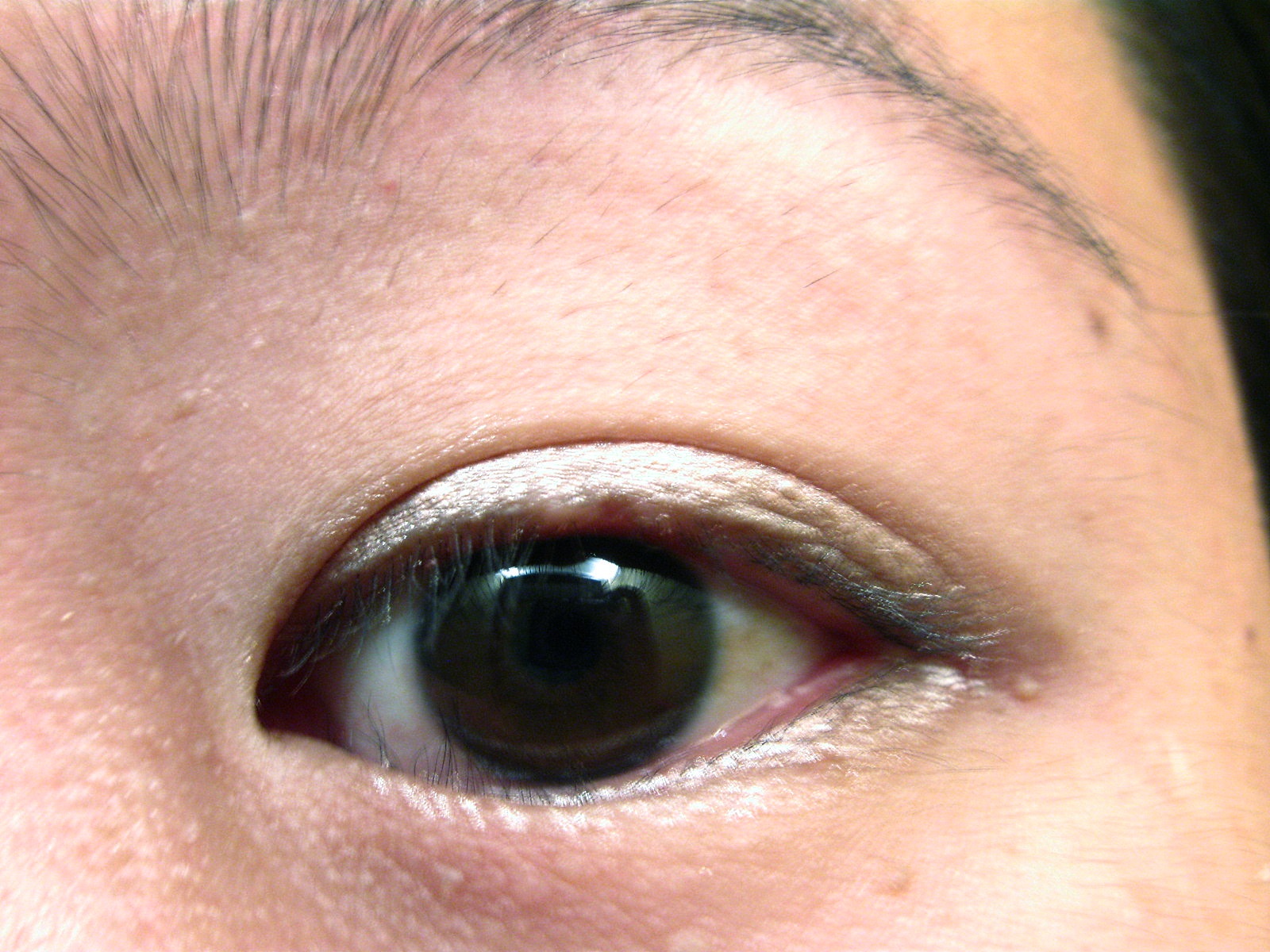 My Makeup Blog: makeup, skin care and beyond: The Laziest Way to do ...