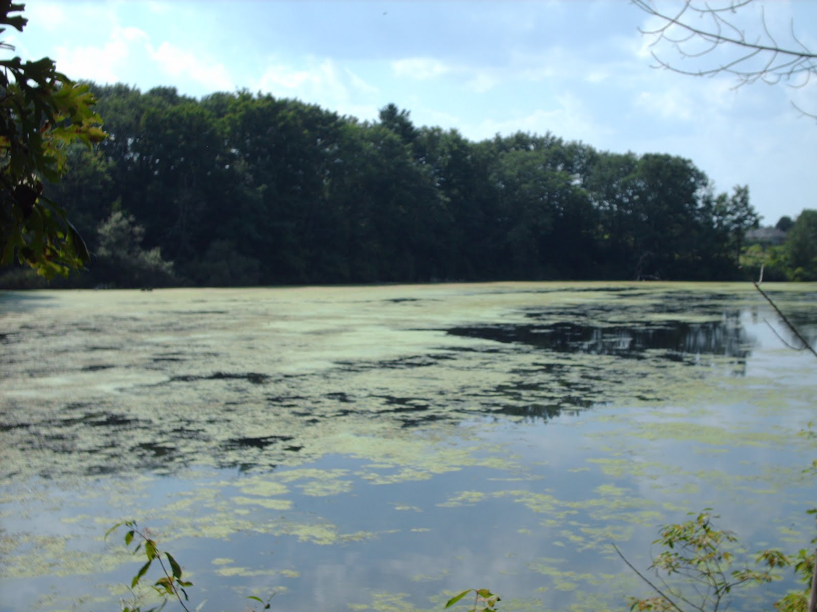 Dorchester Mill Pond (Visual Tour) - Chase March - Official Site