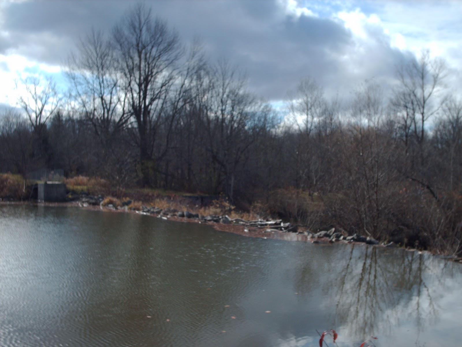 Coldstream Conservation Area (Visual Tour) - Chase March - Official Site