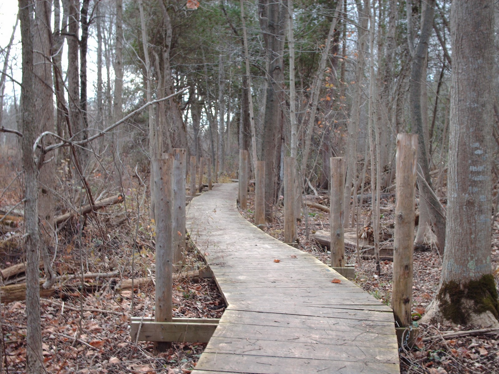 Coldstream Conservation Area (Visual Tour) - Chase March - Official Site