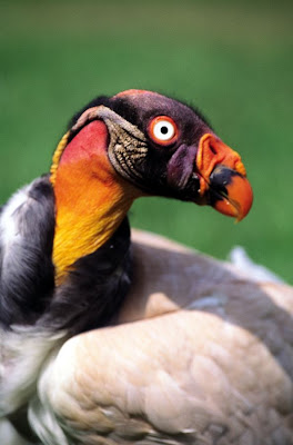 Viajes, Fotografía y Más: enero 2010