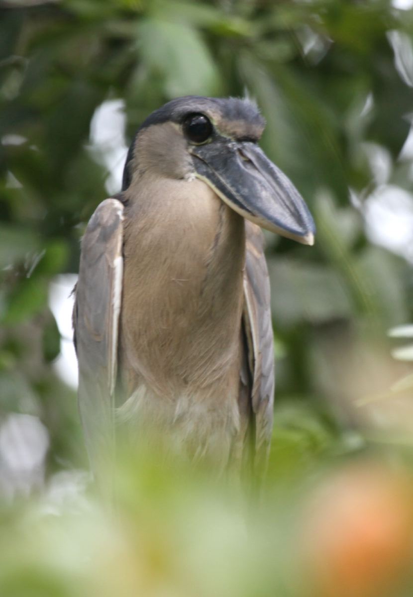 Viajes, Fotografía y Más: abril 2010