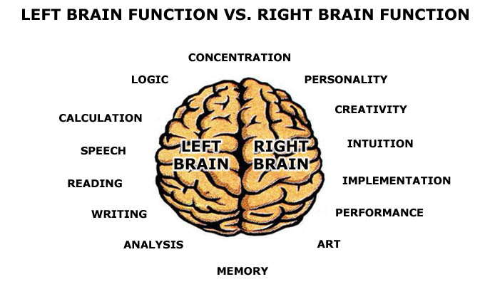 The Right And The Left: Right & Left Brain Balancing
