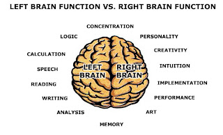 The Right And The Left: Right & Left Brain Balancing
