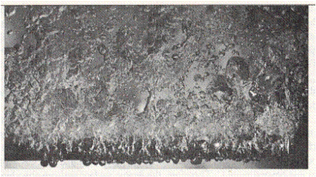 Engineers Guide: HEAT TRANSFER in Boiling Condition
