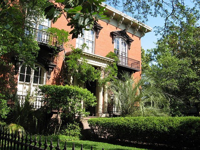 Savannah in Spring - 2010