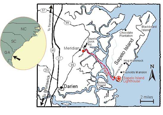 Sapelo Island - August 2010