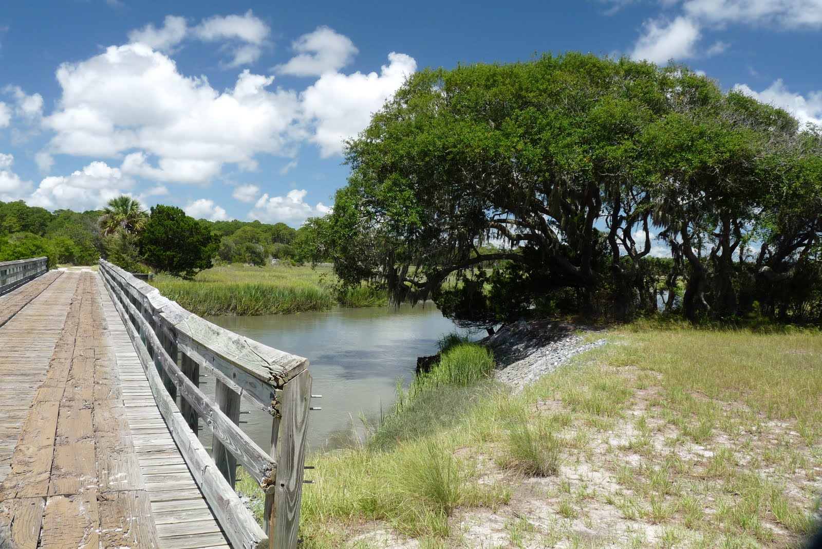 Sapelo Island - August 2010