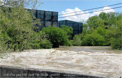 Photos by Vada: Flooding Salt River