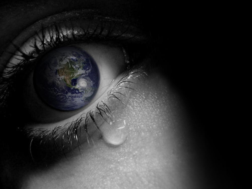 HEADWATERS @ IW: Become "Healing Hands" at Work in the World of Nature