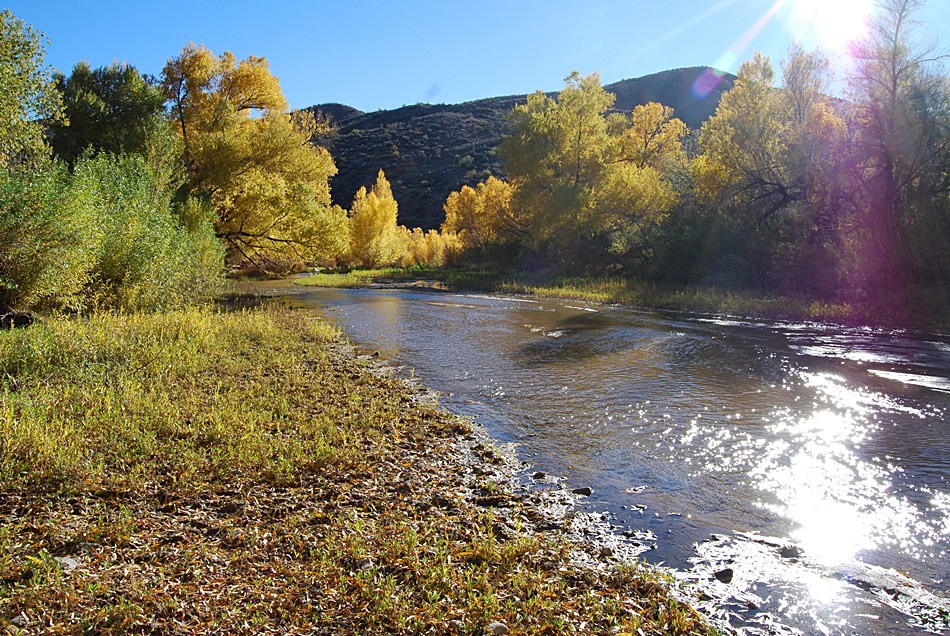 Vacation at the Williams Family Ranch, Arizona: February 2011