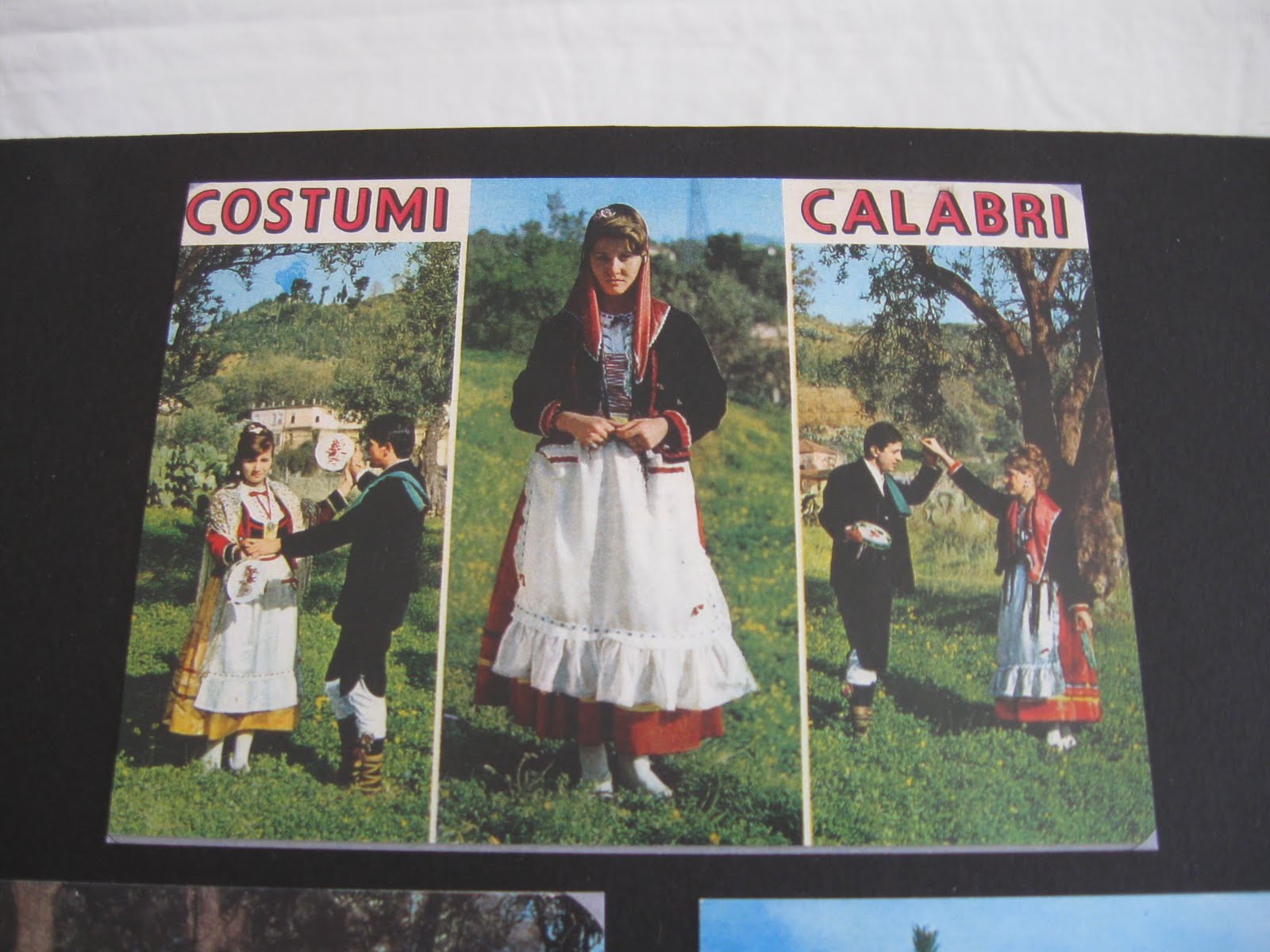 The Cup That Cheers: New costume idea (someday!): traditional costume ...