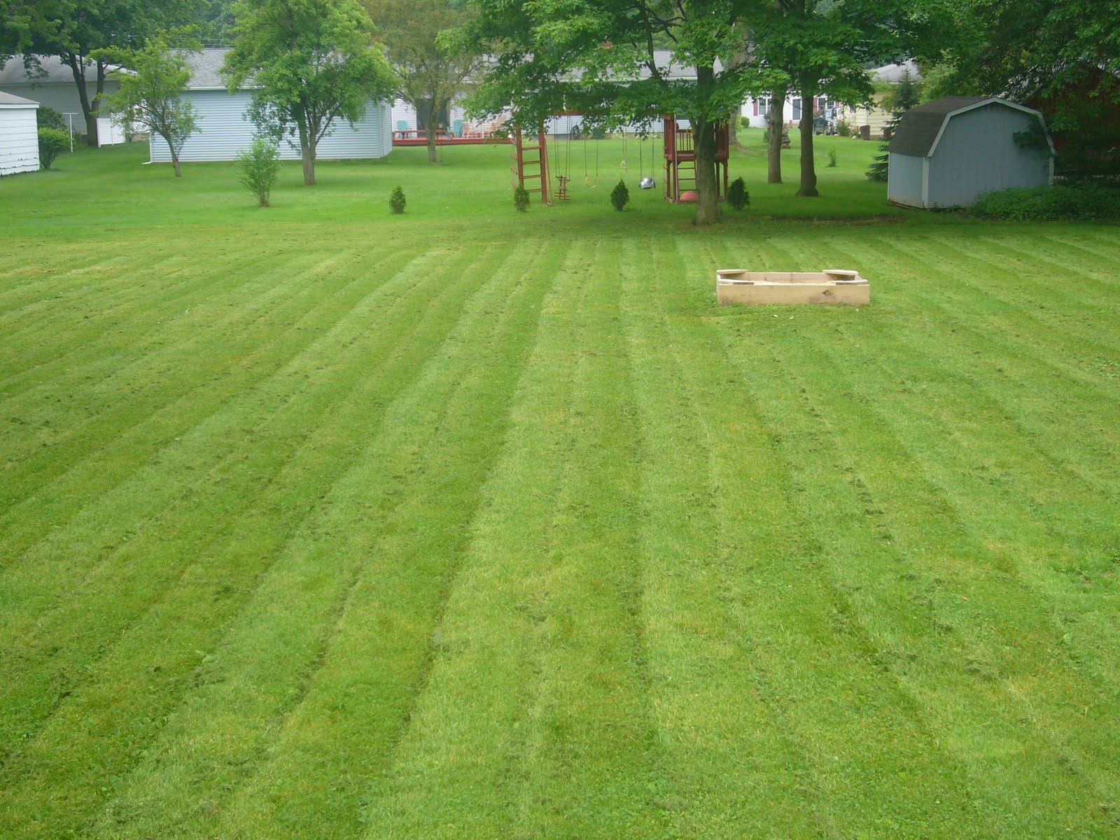 Hungry Beaster's Homeowner Humor: Chopped Toad