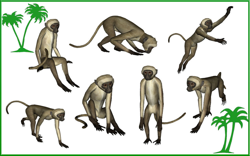 Helen-sims: TS3 Monkeys
