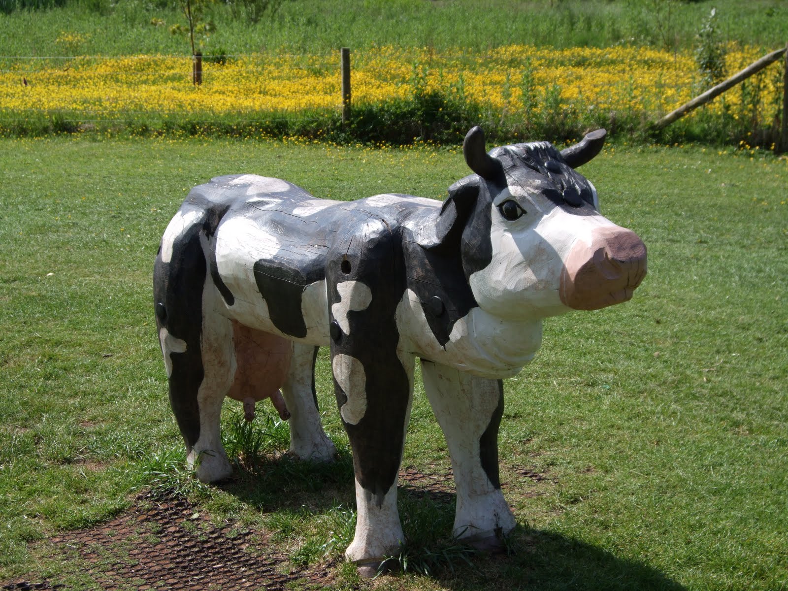 A Day in the Life of a Craft Fairy...: Holiday to Devon Part 2 - Cows ...