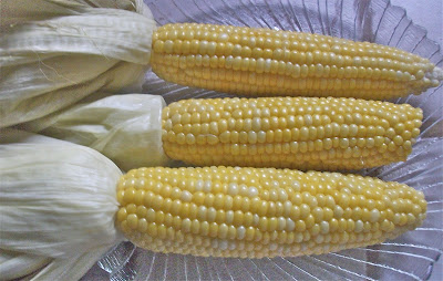 Oven Roasted Corn On the Cob