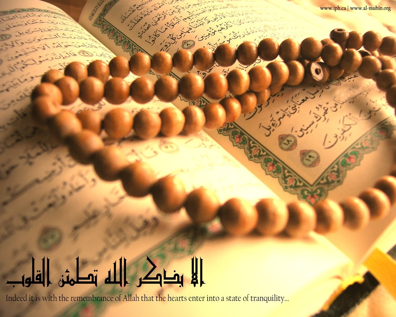 Warriors of Imam Mehdi (a.s.)