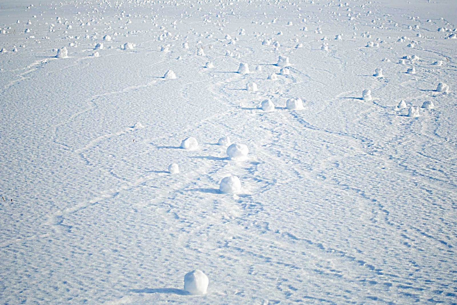 Snow Rollers Phenomenon - Keeping With The Times