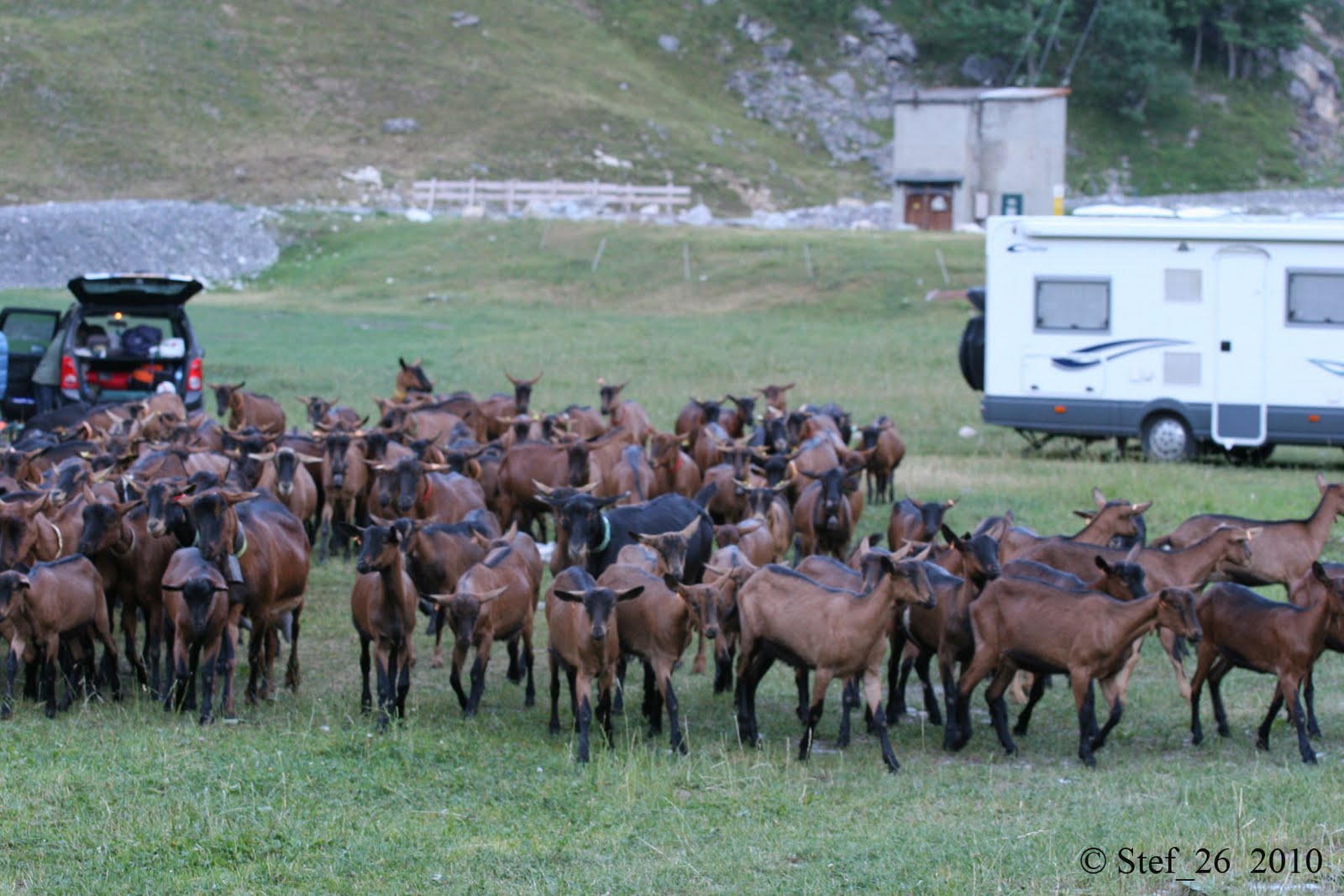 Sortir en Camping-car: Les Chapieux - Bourg saint Maurice (73)