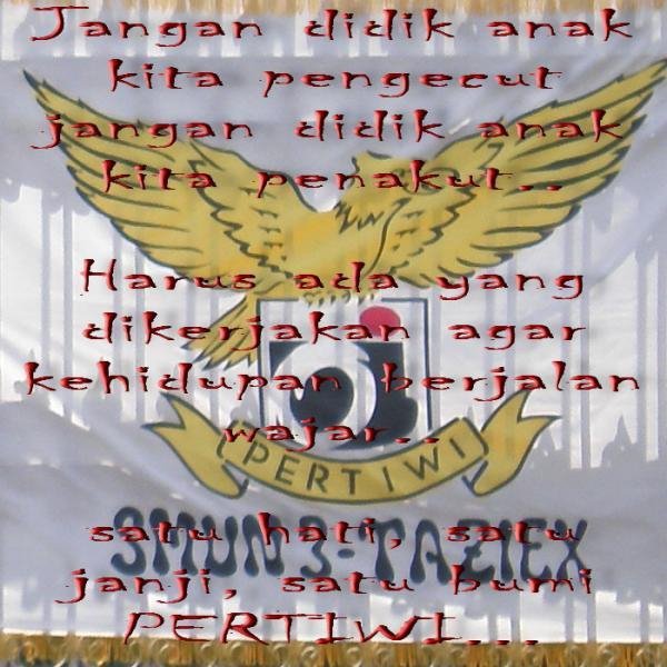 Logo SLank: logo slankers