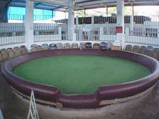 ||Pam galleratlas shrugrd || gallera de venta en puerto rico / la ...