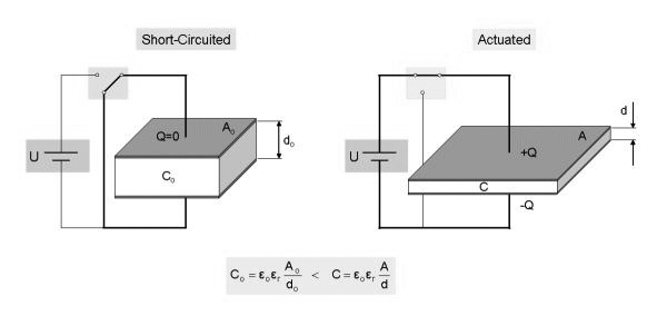 ShapeShift: electroactive polymer