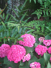 Texas Garden Journal