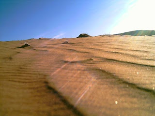 BLOG DE FOTOS DE OSQUI: ARENALES (Oruro)