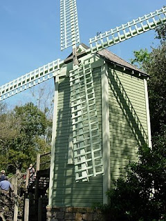 what a wonderful, Disney World...: Aug 13, 2008