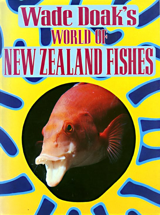 WADE T DOAK'S BLOG: Marine Life: My studies of marine invertebrates and ...