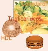 Alimentação na Net: Triglicerídeos