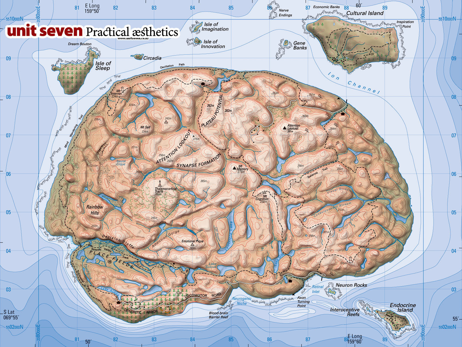 The Brain is an island after all. - the brand builder blog