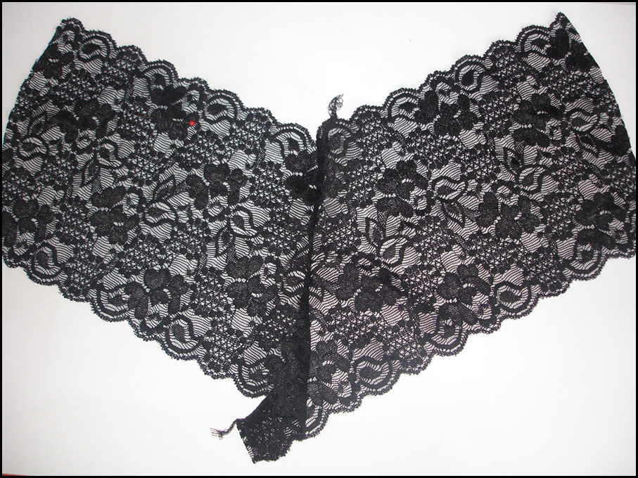 Forge Fashion: Project - Lace Underwear