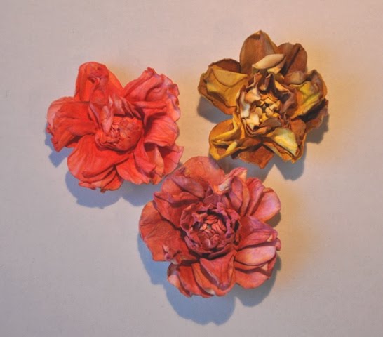 Whiff of Joy - Tutorials & Inspiration: Punched flowers with Distress Ink