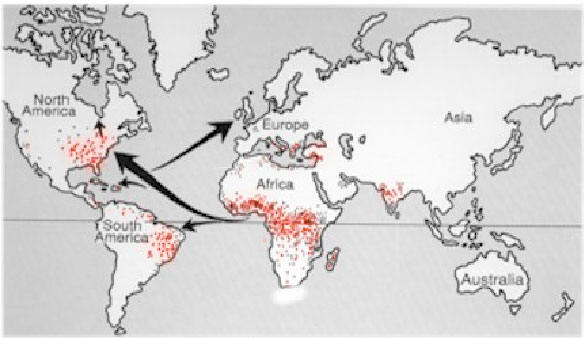 Workshop About Sickle Cell Anemia Disease
