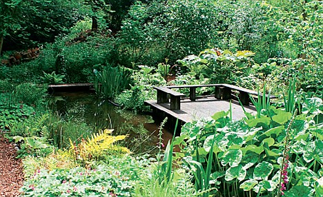 Welcome to gardening designs: The Bog Garden