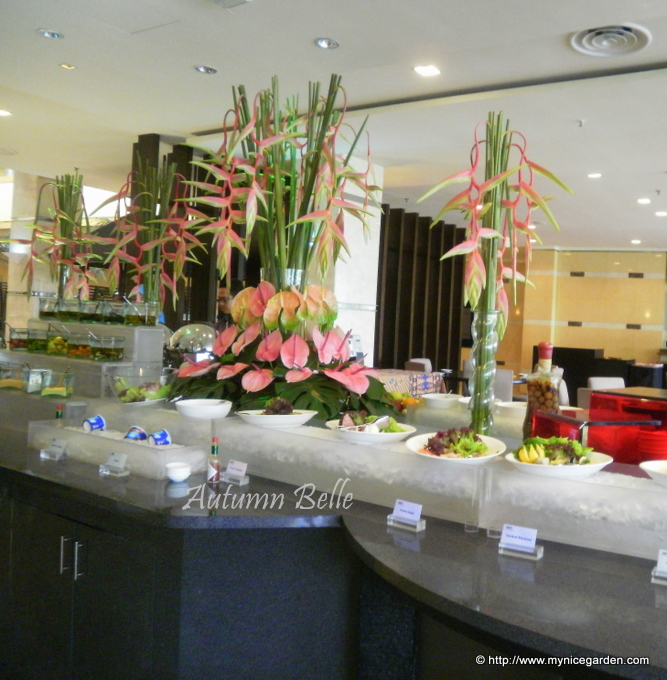 My Nice Garden: Heliconia chartacea "Sexy Pink" Lady