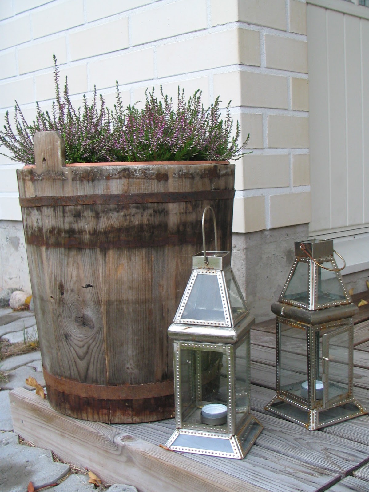 Hopeasinisiipi: Syyskukat