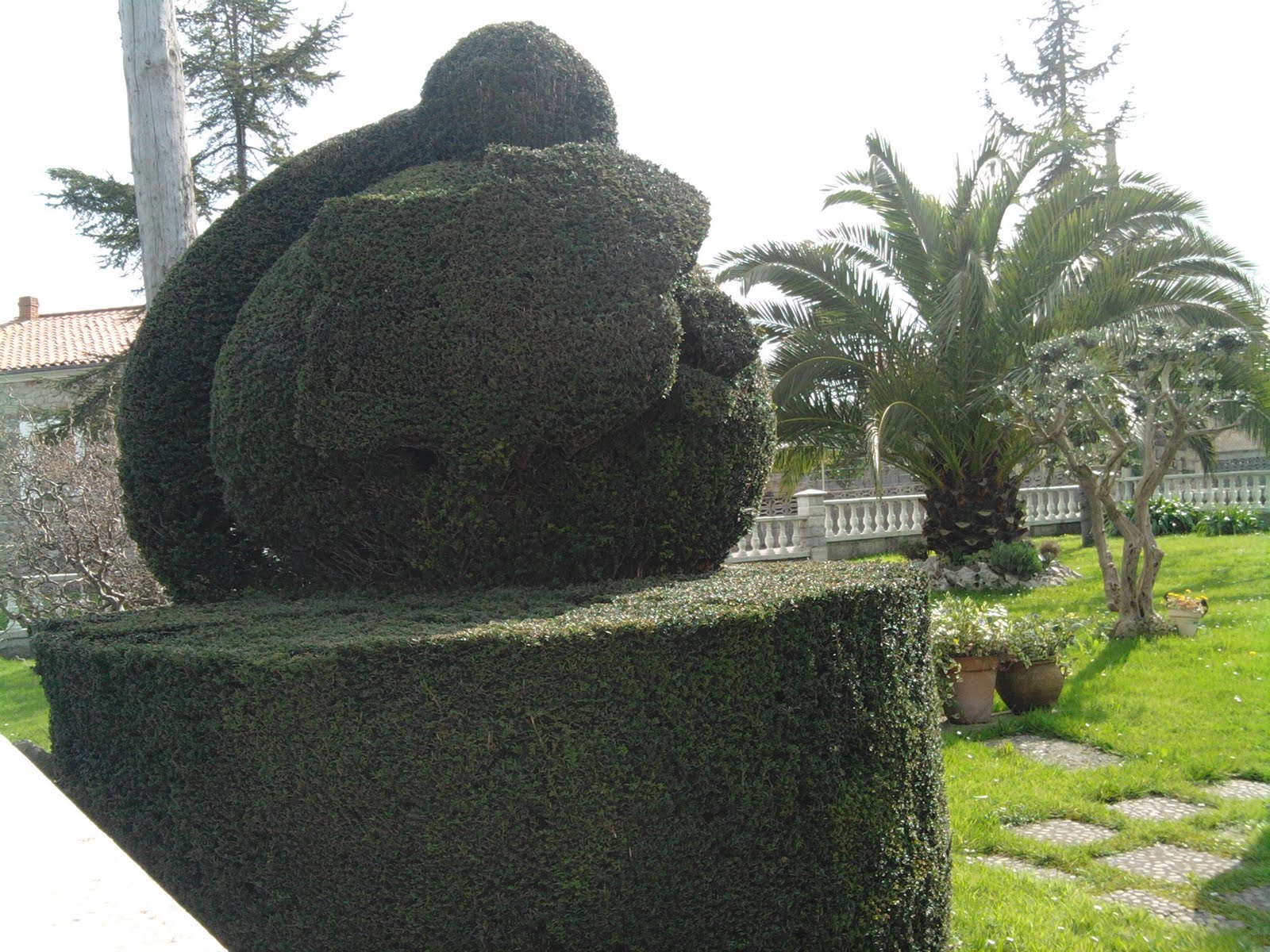 La cueva del tasugo: LA CULTURA DEL TEJO