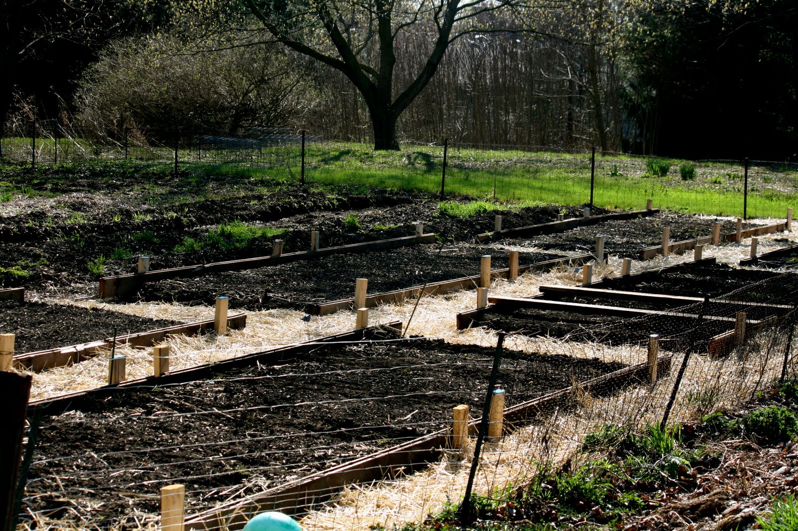 Pictorial Garden Summary