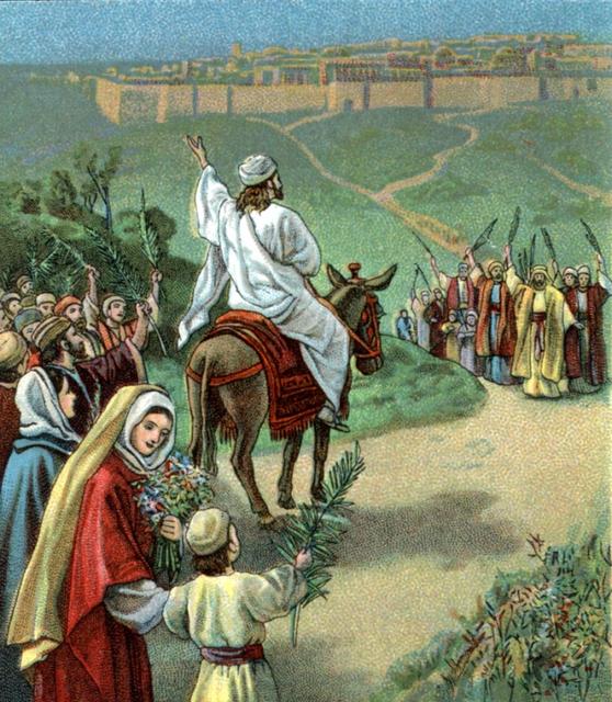 Pastor of My House: 8 Sep (Matt 21; Mark 11; Luke 19; John 12)