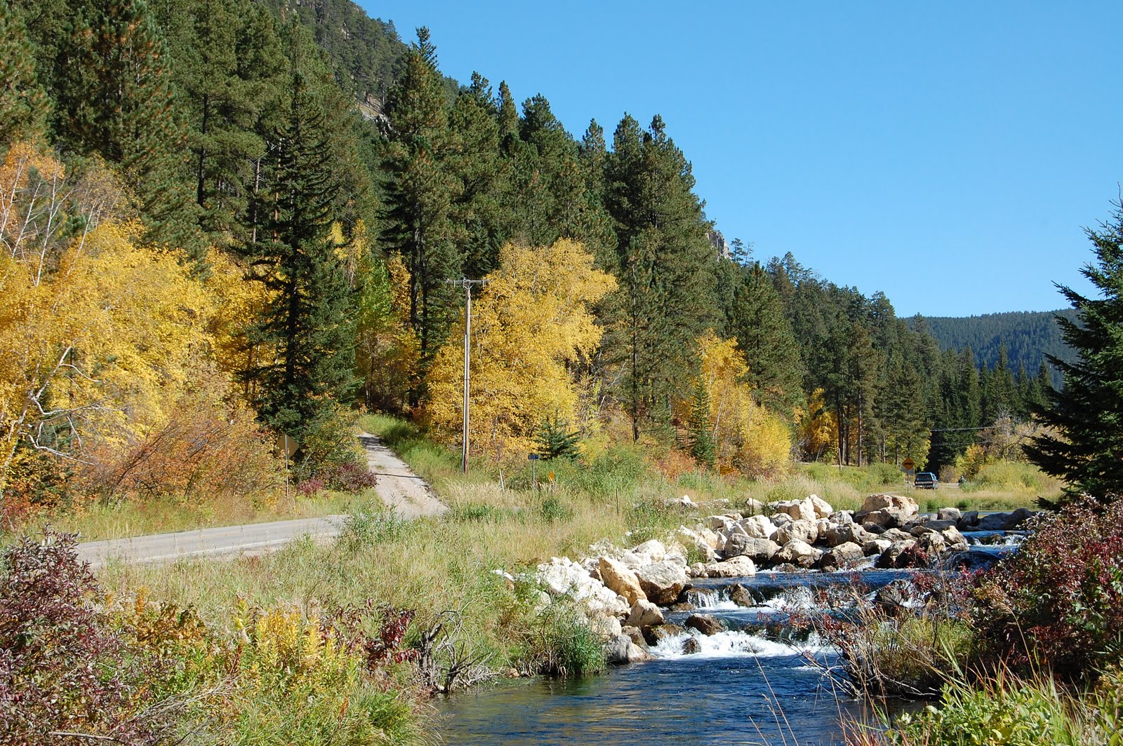 The Fredrickson Family: Fall in the Black Hills